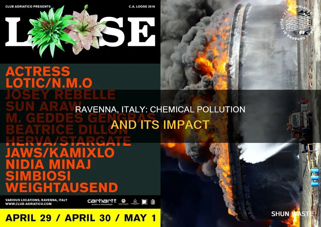 Ravenna, Italy: Chemical Pollution And Its Impact | ShunWaste
