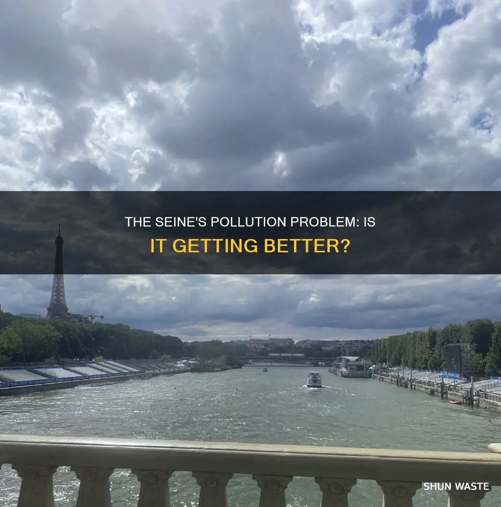The Seine's Pollution Problem: Is It Getting Better? | ShunWaste