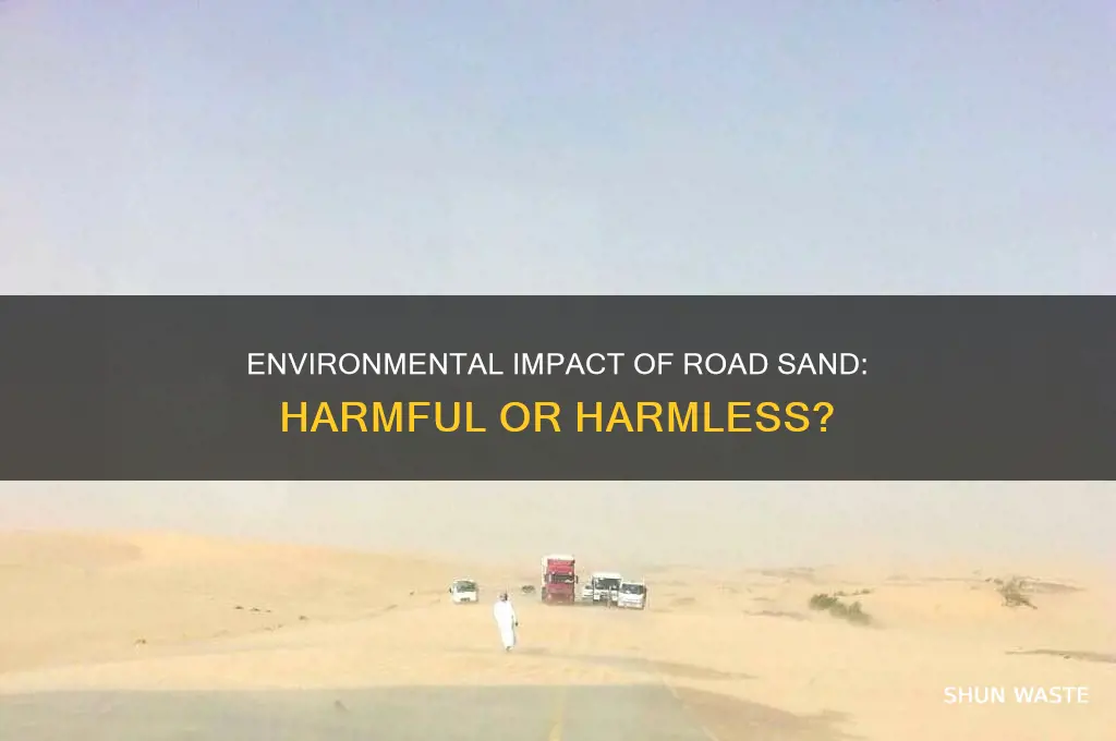 Environmental Impact Of Road Sand: Harmful Or Harmless? | ShunWaste