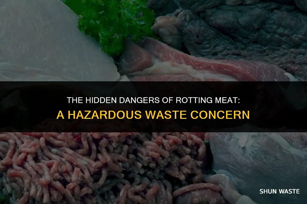 The Hidden Dangers Of Rotting Meat: A Hazardous Waste Concern | ShunWaste