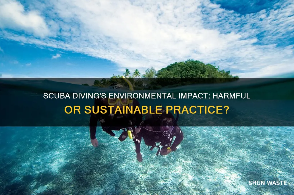 Scuba Diving's Environmental Impact: Harmful Or Sustainable Practice ...