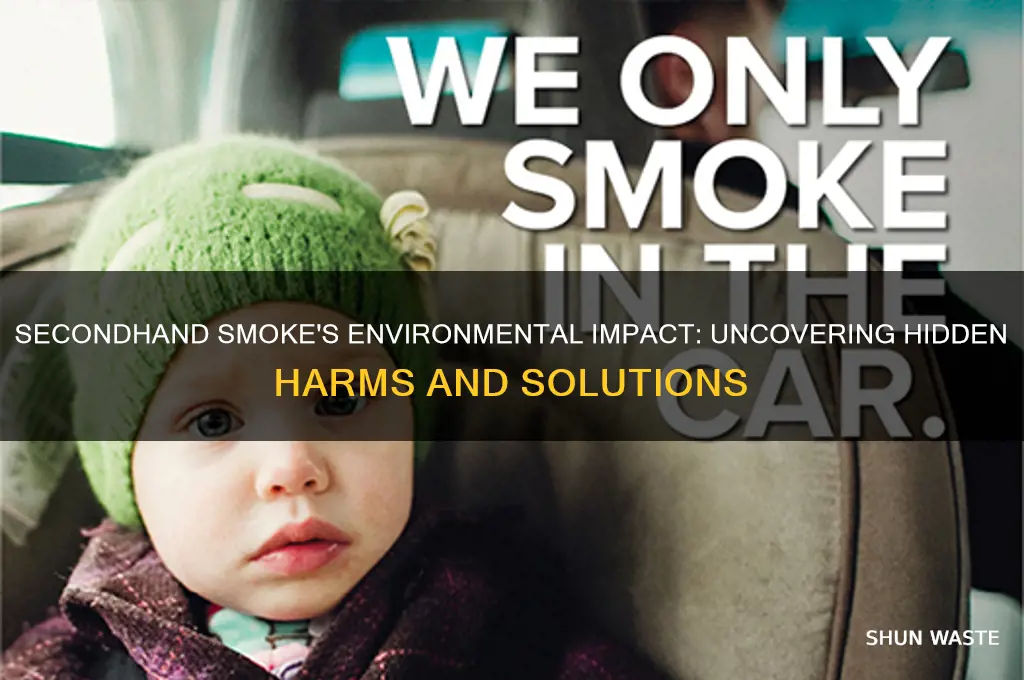 Secondhand Smoke's Environmental Impact: Uncovering Hidden Harms And ...