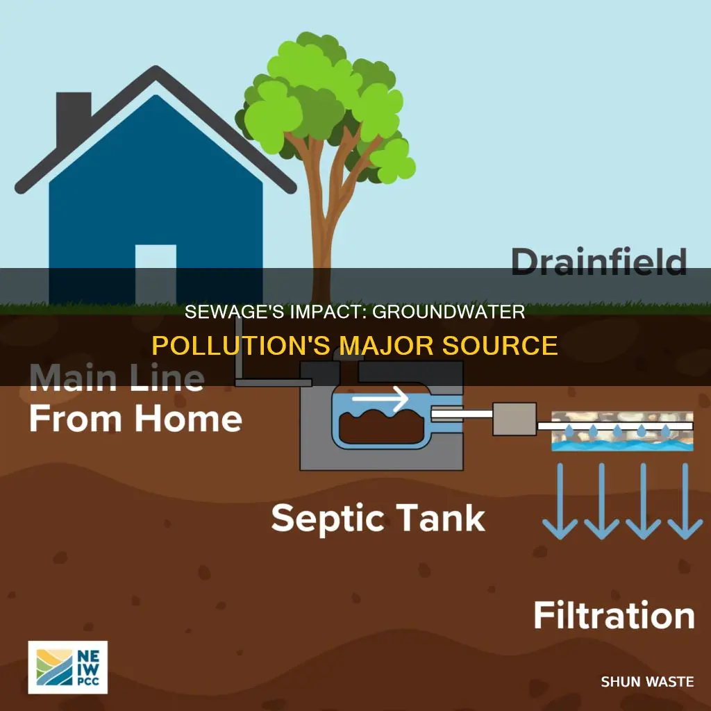 Sewage's Impact: Groundwater Pollution's Major Source | ShunWaste