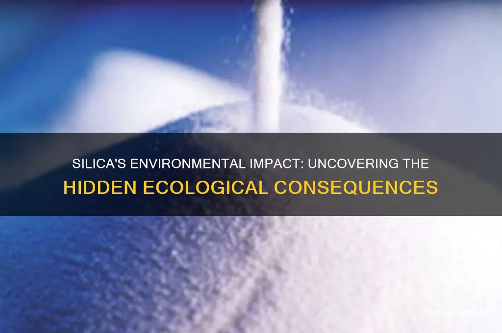 Silica's Environmental Impact: Uncovering The Hidden Ecological ...