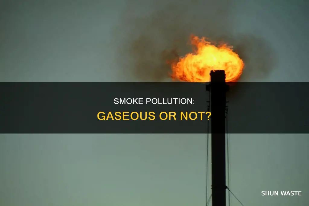 Smoke Pollution: Gaseous Or Not? | ShunWaste