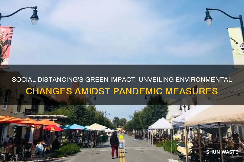 Social Distancing's Green Impact: Unveiling Environmental Changes ...