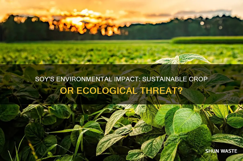 Soy's Environmental Impact: Sustainable Crop Or Ecological Threat ...