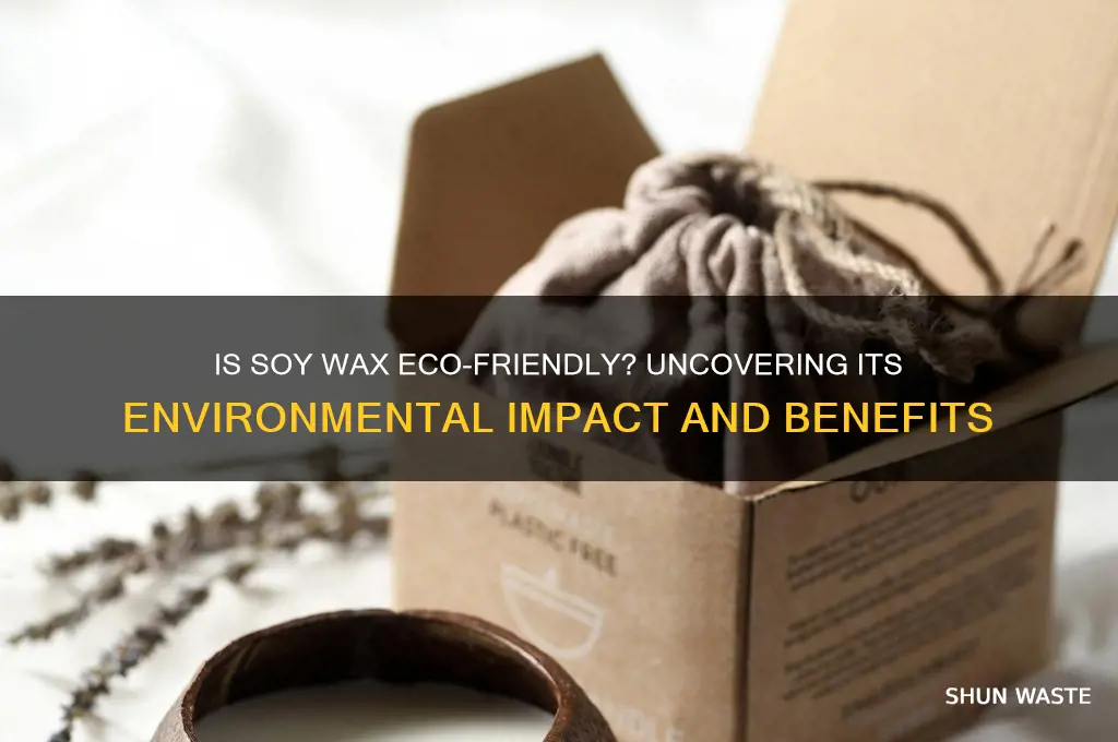 Is Soy Wax Eco-Friendly? Uncovering Its Environmental Impact And ...