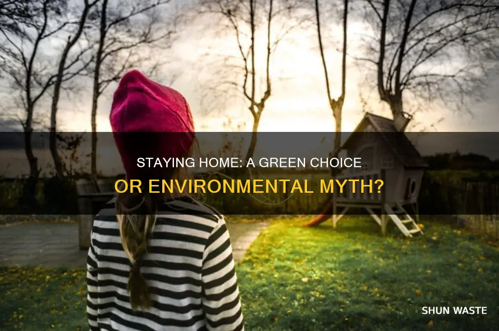 Staying Home: A Green Choice Or Environmental Myth? | ShunWaste
