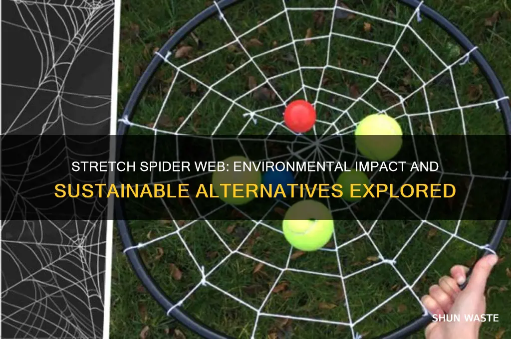 Stretch Spider Web: Environmental Impact And Sustainable Alternatives ...