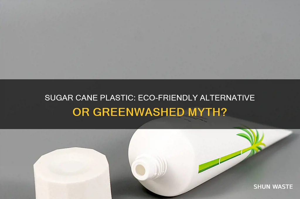 Sugar Cane Plastic: Eco-Friendly Alternative Or Greenwashed Myth ...