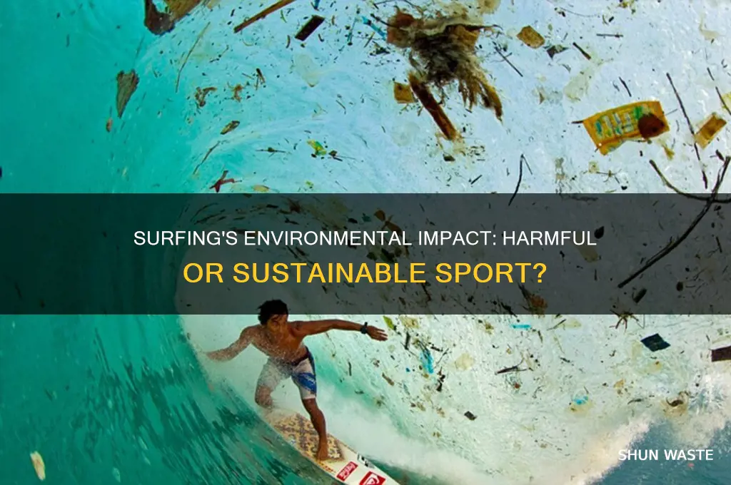 Surfing's Environmental Impact: Harmful Or Sustainable Sport? | ShunWaste