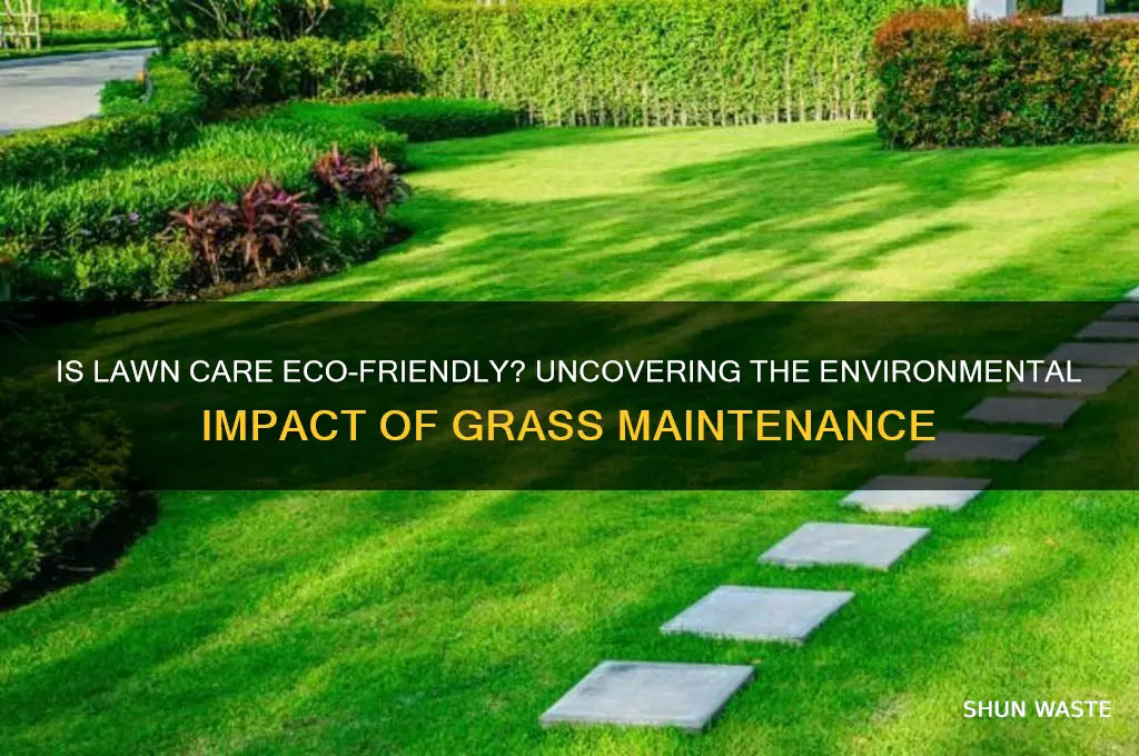 Is Lawn Care Eco-Friendly? Uncovering The Environmental Impact Of Grass ...