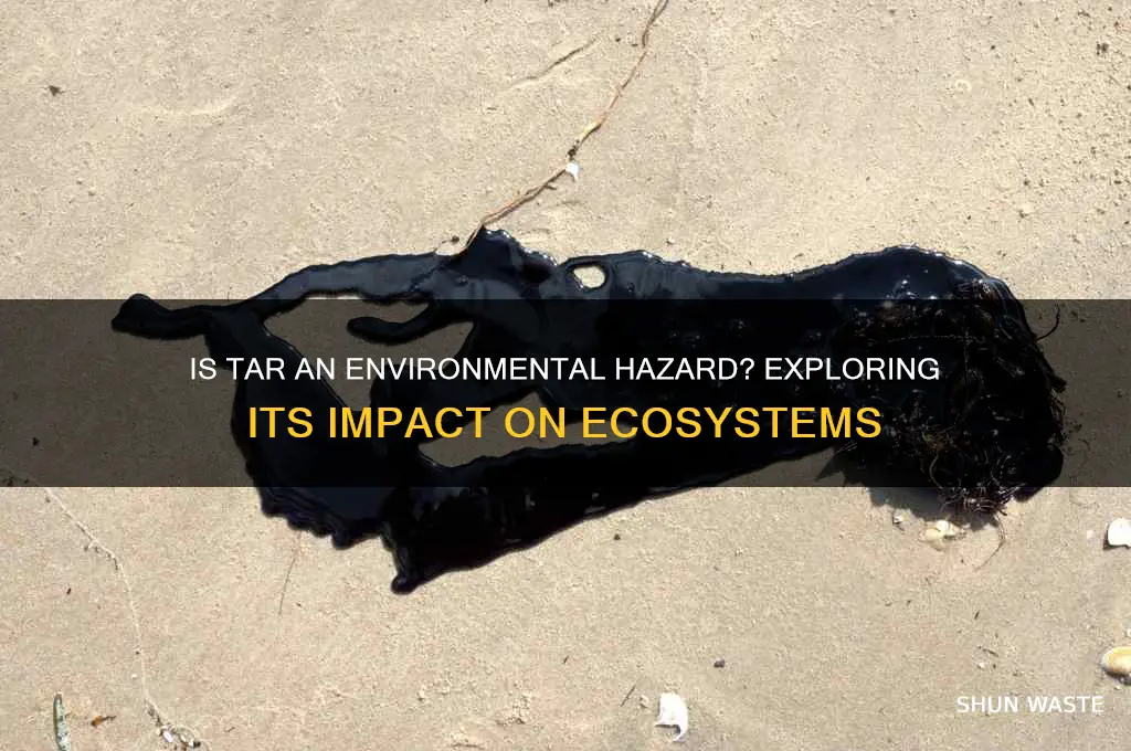 Is Tar An Environmental Hazard? Exploring Its Impact On Ecosystems ...