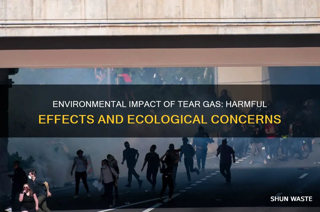 Environmental Impact Of Tear Gas: Harmful Effects And Ecological ...