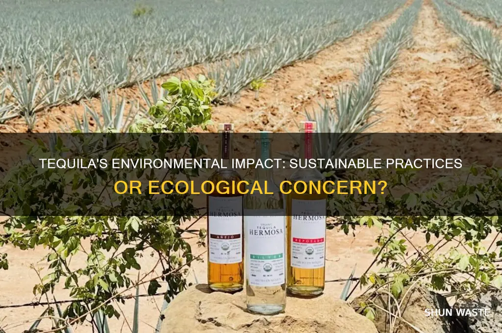 Tequila's Environmental Impact: Sustainable Practices Or Ecological ...