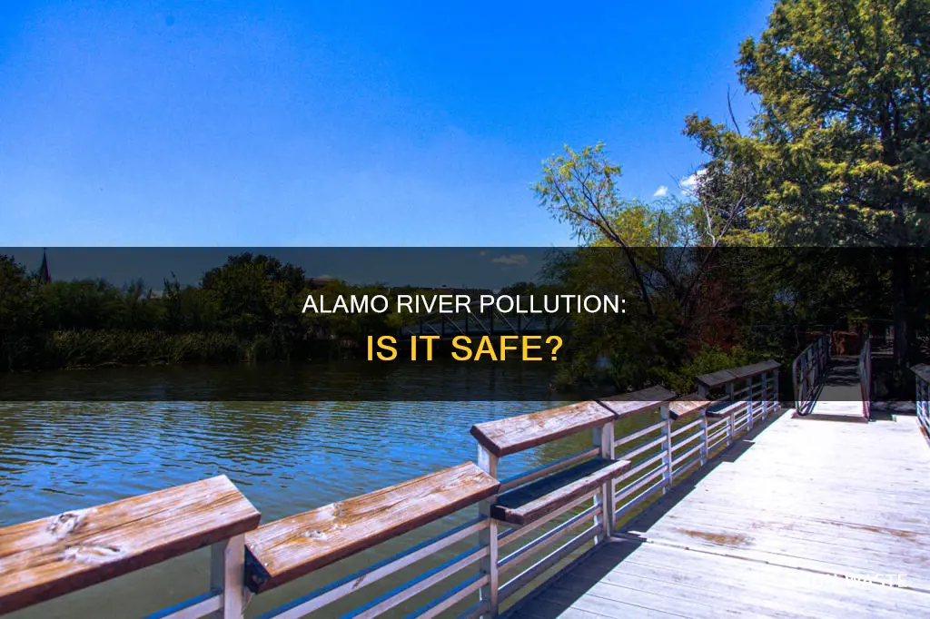 Alamo River Pollution: Is It Safe? | ShunWaste