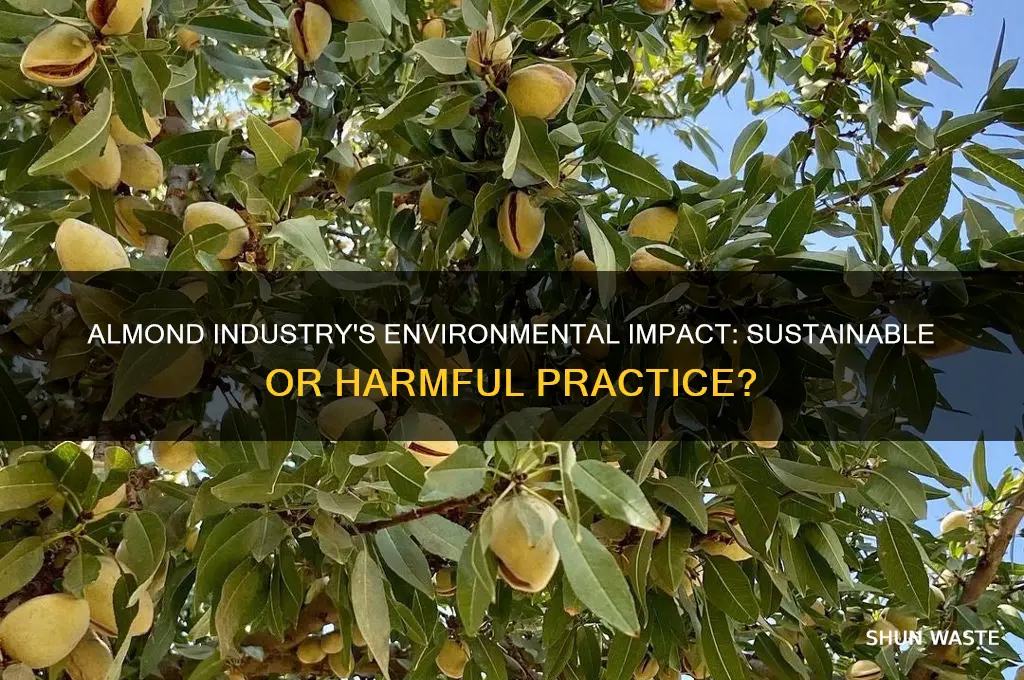 Almond Industry's Environmental Impact: Sustainable Or Harmful Practice ...