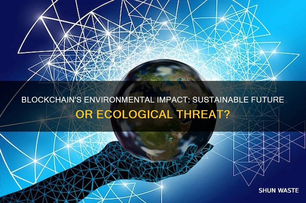 Blockchain's Environmental Impact: Sustainable Future Or Ecological ...