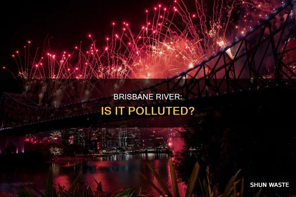 Brisbane River: Is It Polluted? | ShunWaste