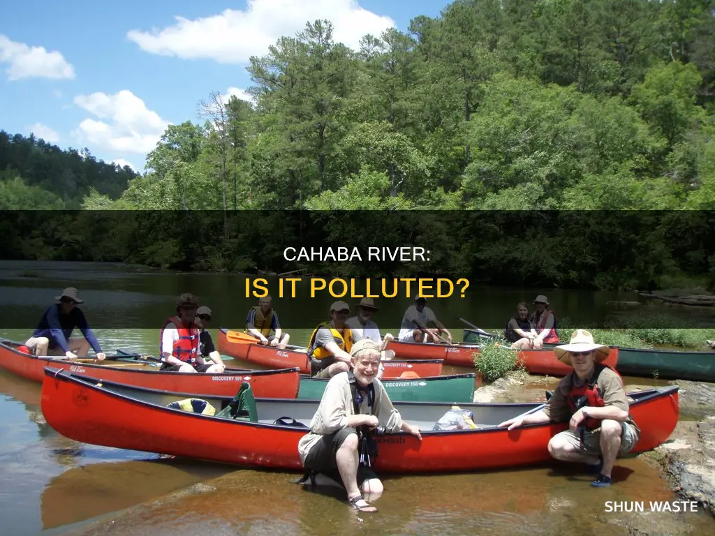 Cahaba River: Is It Polluted? | ShunWaste