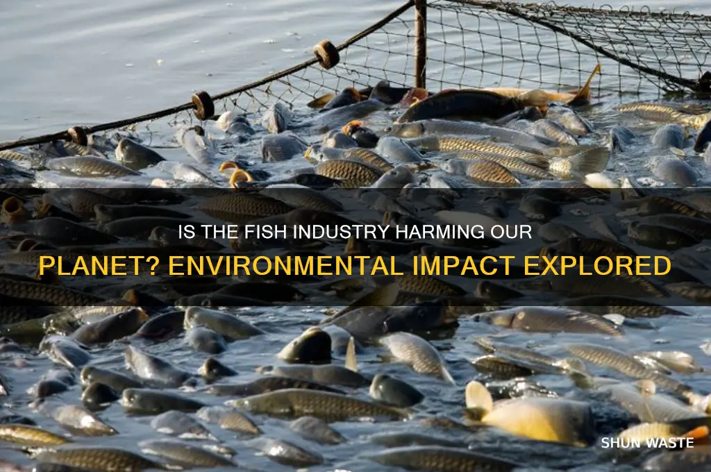 Is The Fish Industry Harming Our Planet? Environmental Impact Explored ...