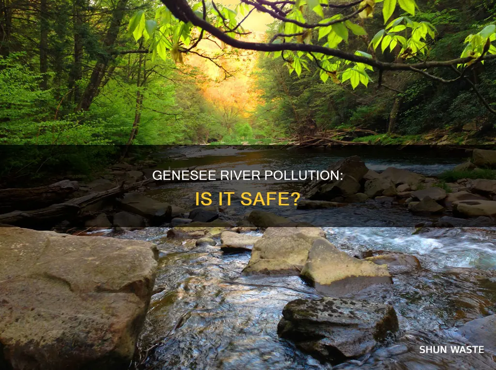 Genesee River Pollution: Is It Safe? | ShunWaste