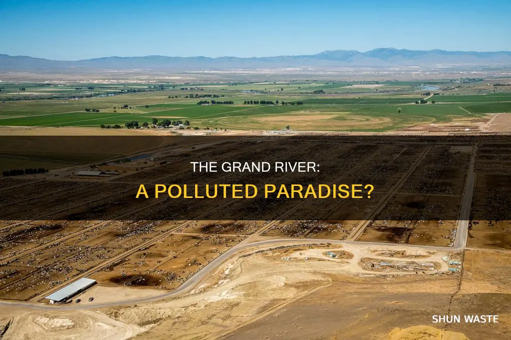 The Grand River: A Polluted Paradise? | ShunWaste