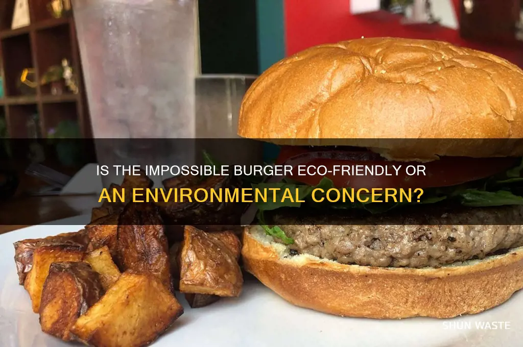 Is The Impossible Burger Eco-Friendly Or An Environmental Concern ...