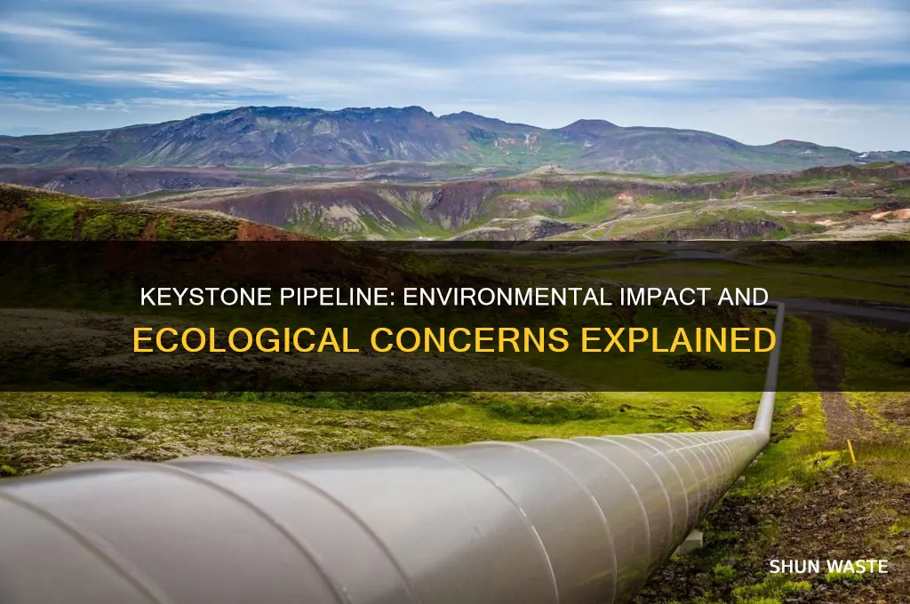 Keystone Pipeline: Environmental Impact And Ecological Concerns ...