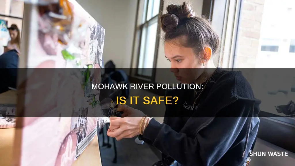 Mohawk River Pollution: Is It Safe? | ShunWaste