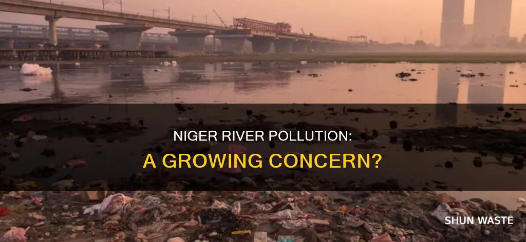 Niger River Pollution: A Growing Concern? | ShunWaste