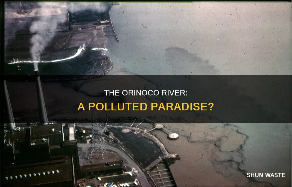 The Orinoco River: A Polluted Paradise? | ShunWaste