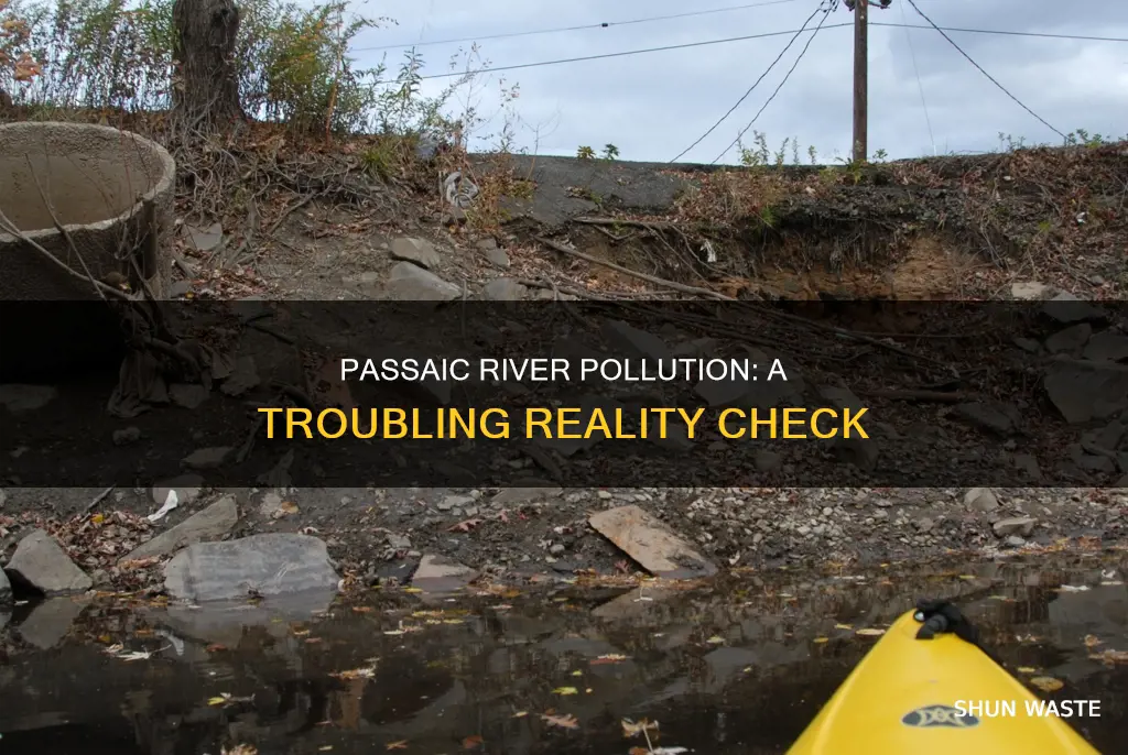 Passaic River Pollution: A Troubling Reality Check | ShunWaste
