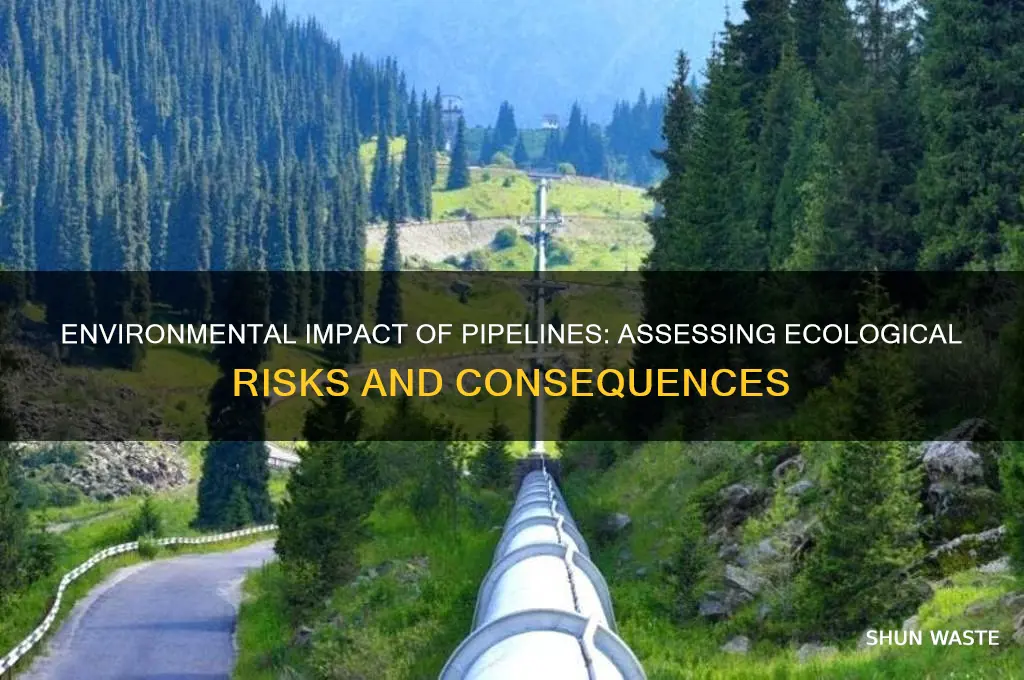 Environmental Impact Of Pipelines: Assessing Ecological Risks And ...
