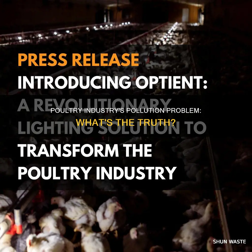 Poultry Industry's Pollution Problem: What's The Truth? | ShunWaste