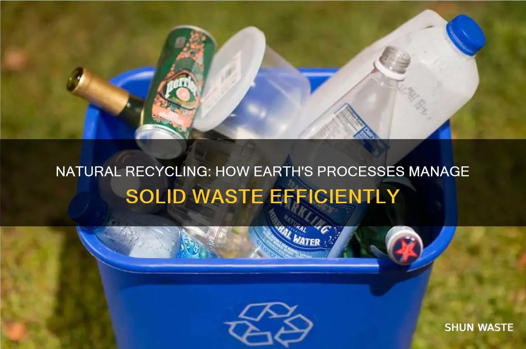 Natural Recycling: How Earth's Processes Manage Solid Waste Efficiently ...