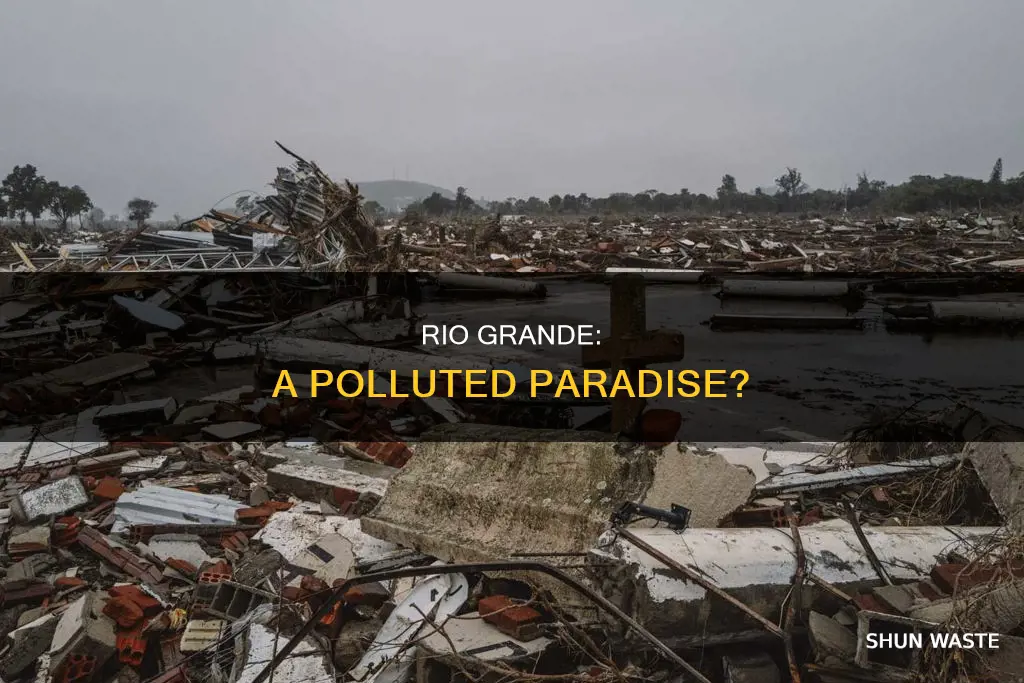 Rio Grande: A Polluted Paradise? | ShunWaste