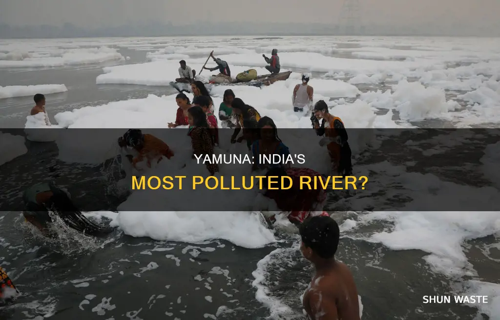 Yamuna: India's Most Polluted River? | ShunWaste