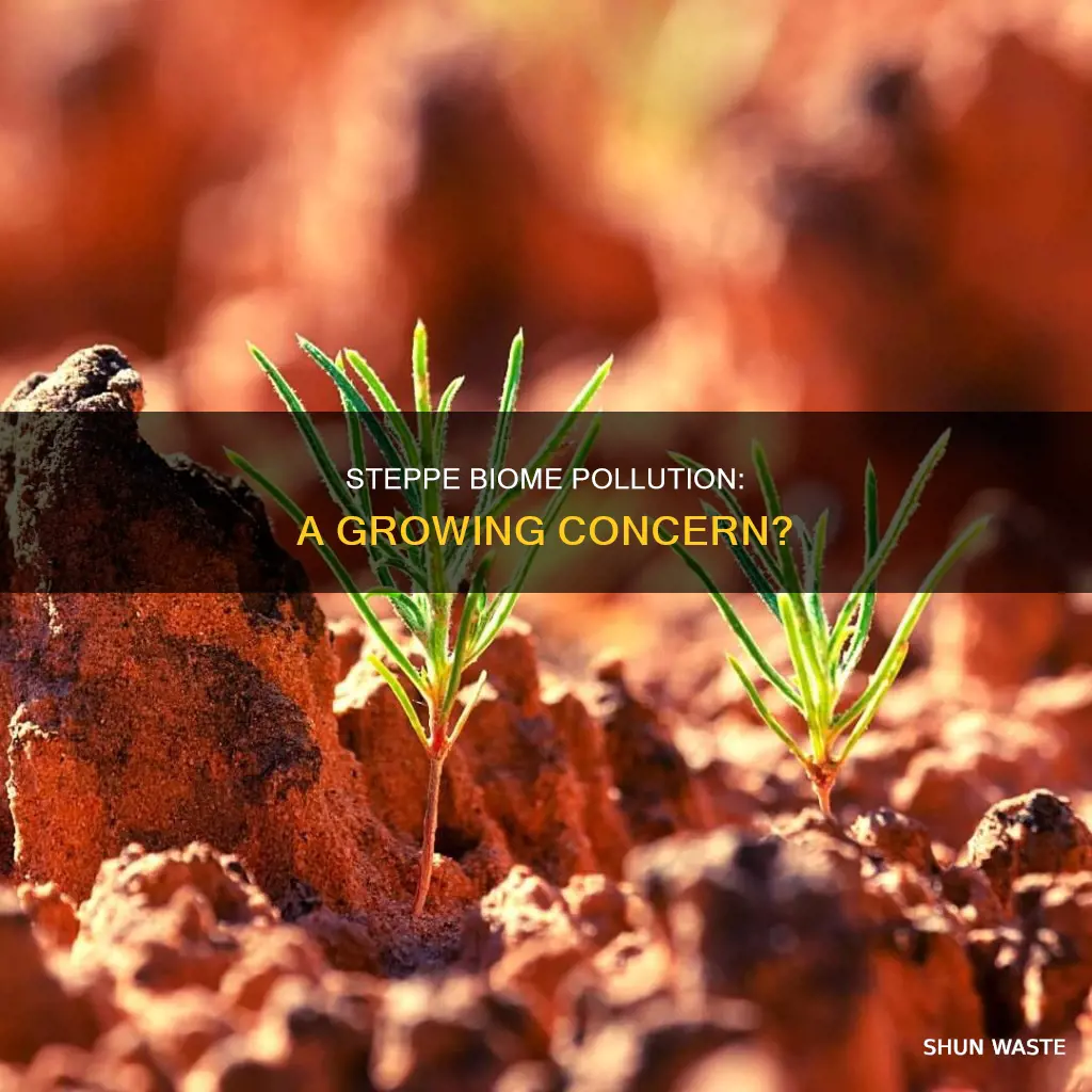 Steppe Biome Pollution: A Growing Concern? | ShunWaste