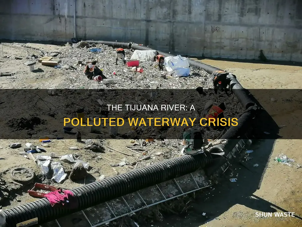 The Tijuana River: A Polluted Waterway Crisis | ShunWaste
