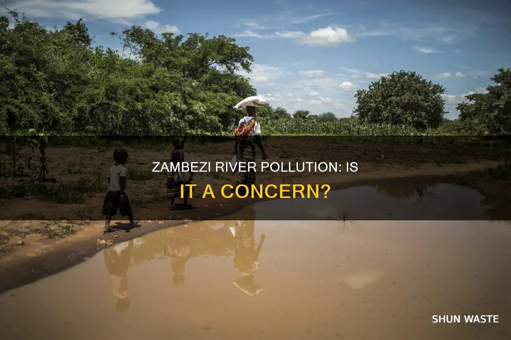 Zambezi River Pollution: Is It A Concern? | ShunWaste