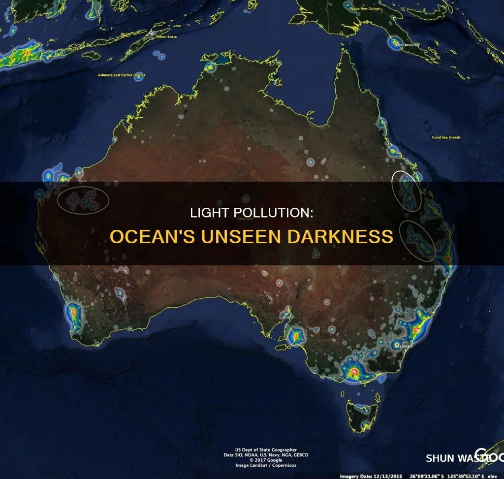 Light Pollution: Ocean's Unseen Darkness | ShunWaste