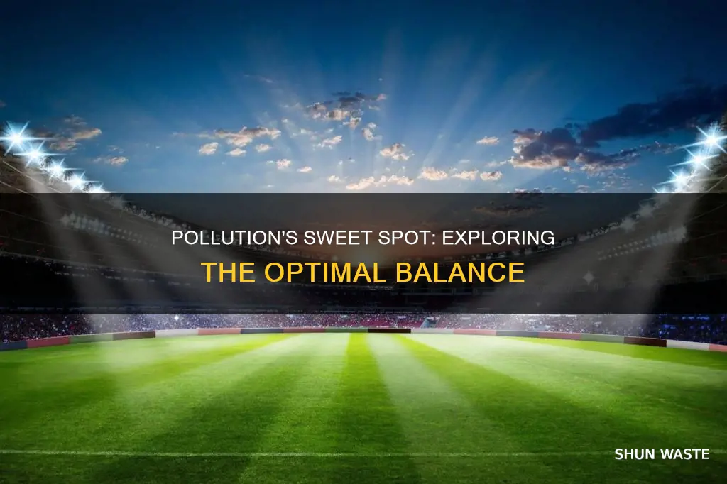 Pollution's Sweet Spot: Exploring The Optimal Balance | ShunWaste