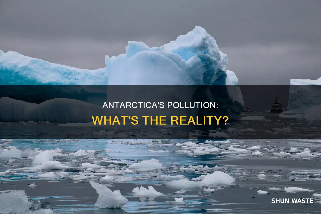 Antarctica's Pollution: What's The Reality? | ShunWaste