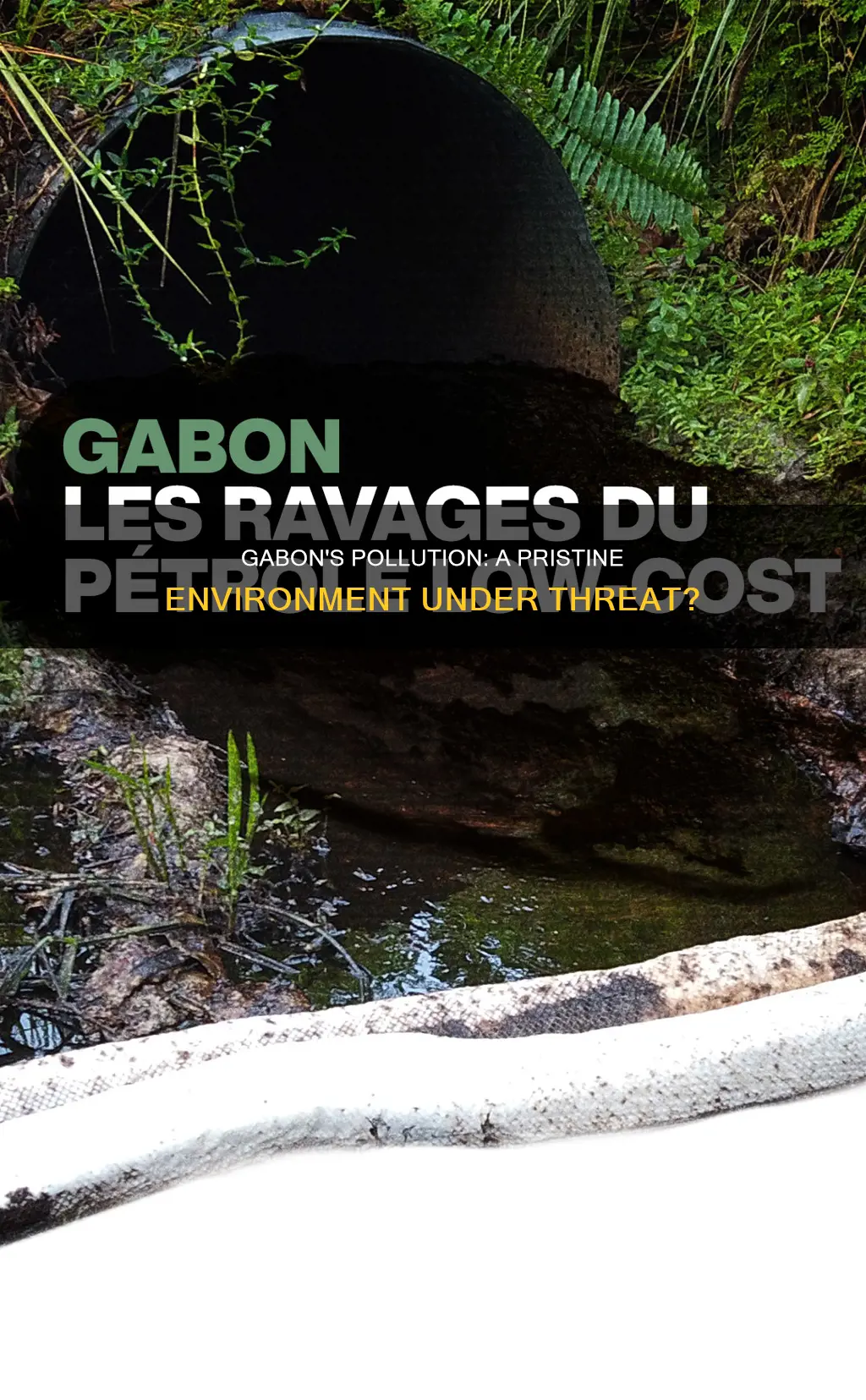 Gabon's Pollution: A Pristine Environment Under Threat? | ShunWaste