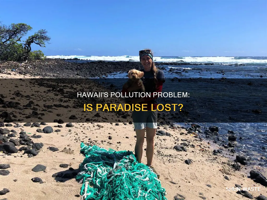 Hawaii's Pollution Problem: Is Paradise Lost? | ShunWaste