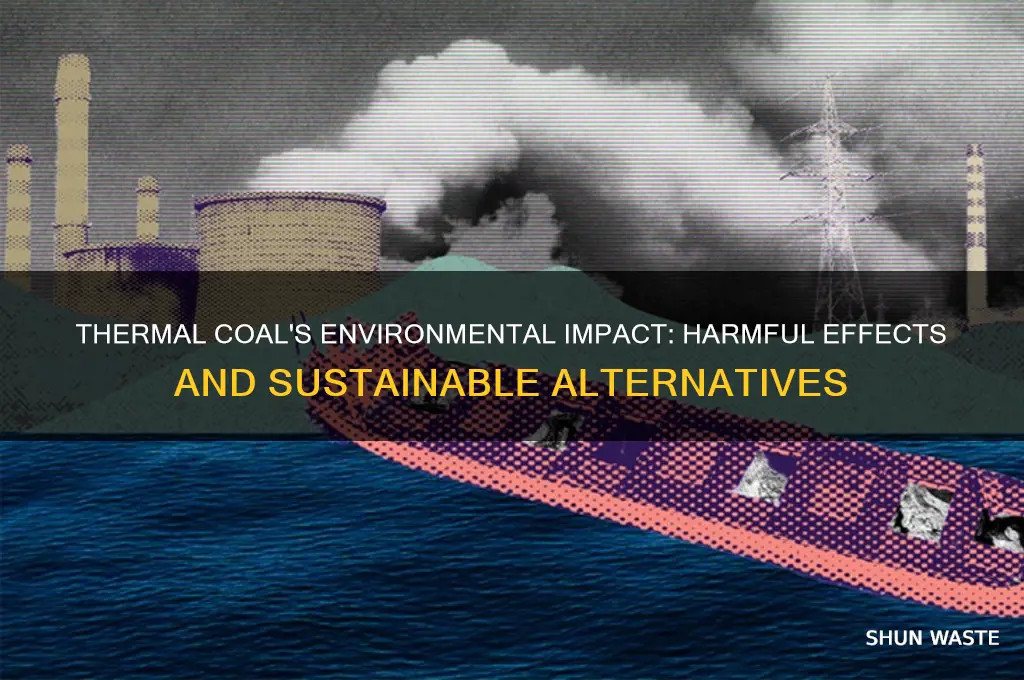 Thermal Coal's Environmental Impact: Harmful Effects And Sustainable ...