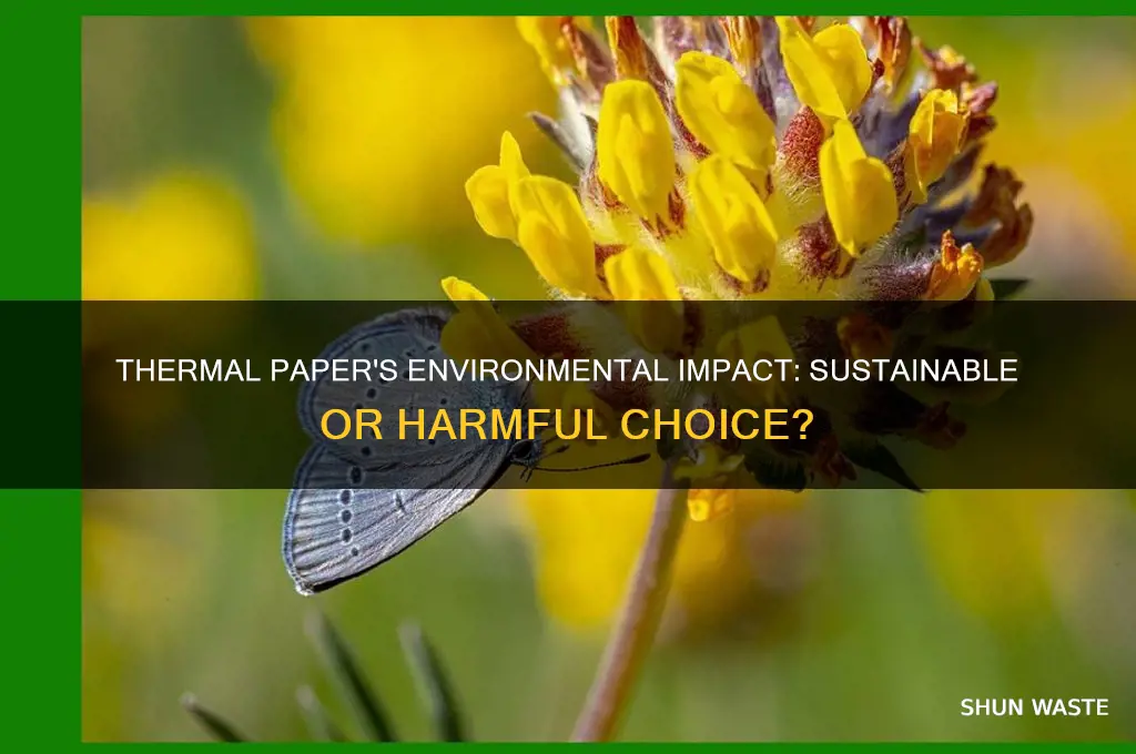 Thermal Paper's Environmental Impact: Sustainable Or Harmful Choice ...