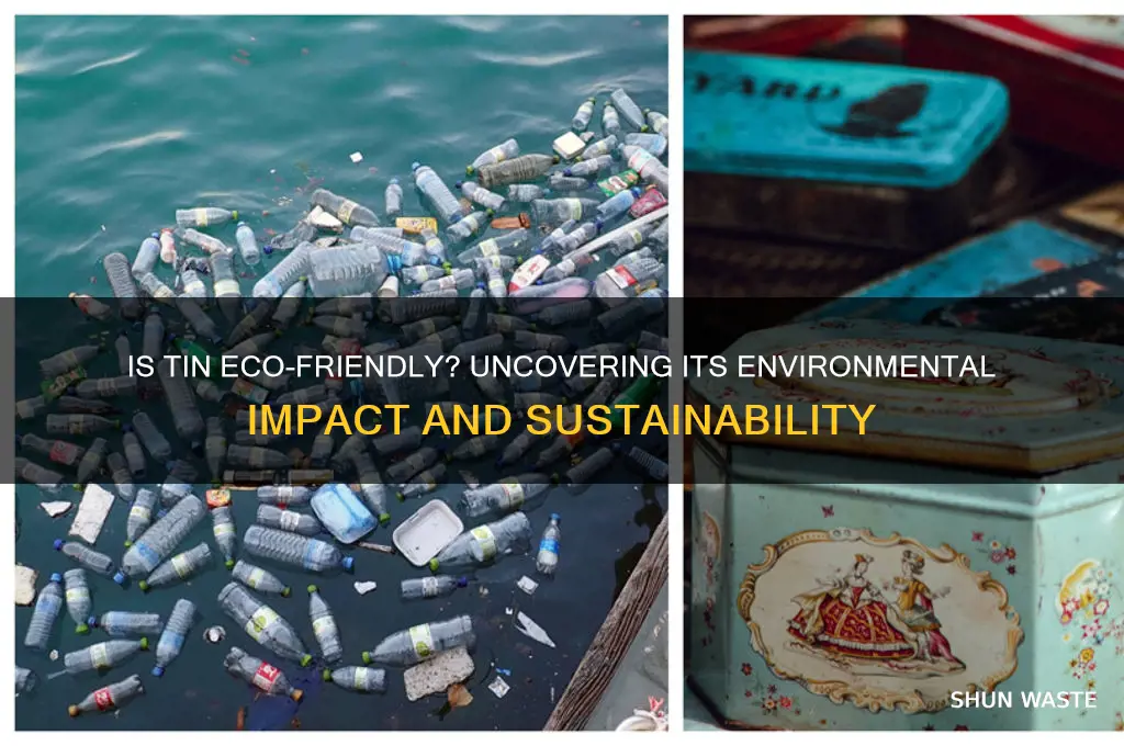 Is Tin Eco-Friendly? Uncovering Its Environmental Impact And ...